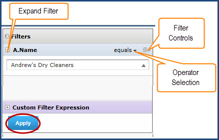 Navigating Custom Reports